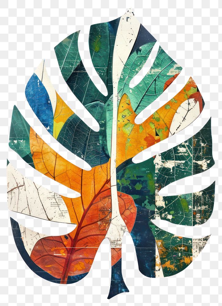 PNG Leaf shape collage cutouts | Free PNG - rawpixel