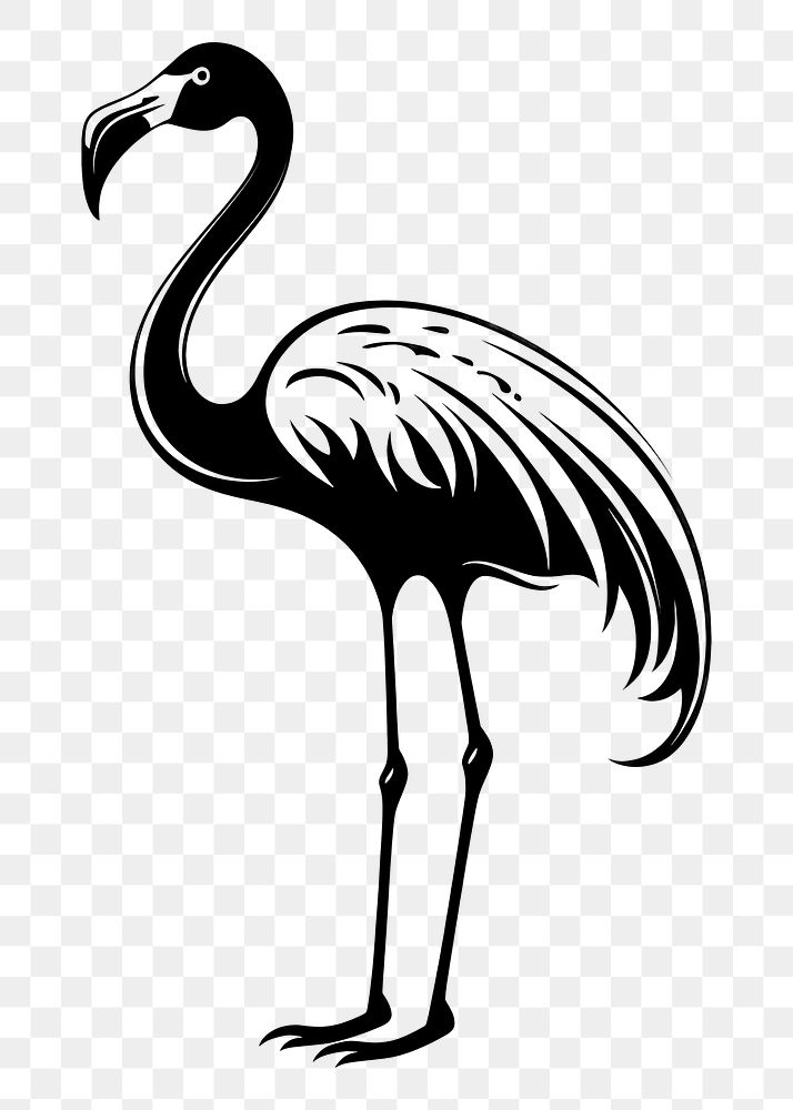 Ostrich++vector Illustration PNG Images | Free Photos, PNG Stickers ...