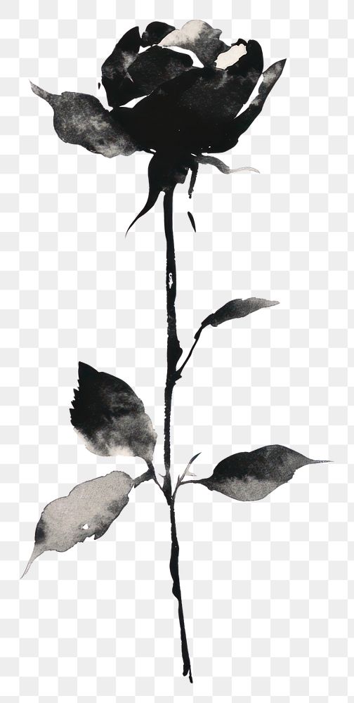 White Bird Watercolor Images | Free Photos, PNG Stickers, Wallpapers ...