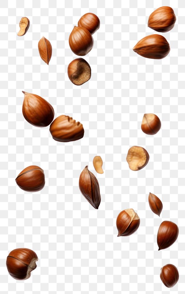 PNG Falling hazelnuts food seed | Free PNG - rawpixel