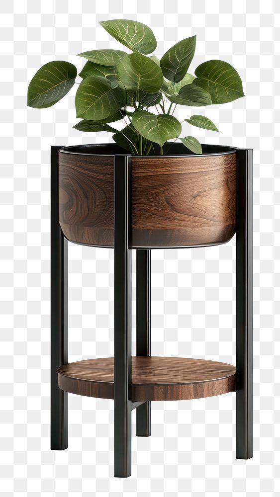 PNG Plant stand furniture planter | Free PNG - rawpixel