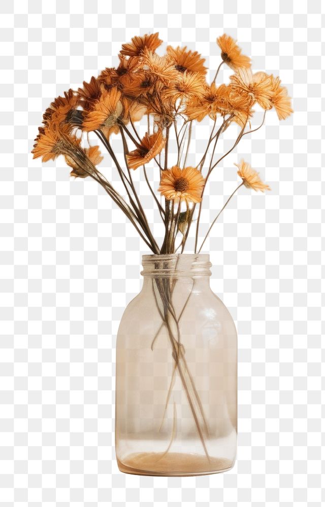 PNG Flower jar plant vase | Premium PNG - rawpixel