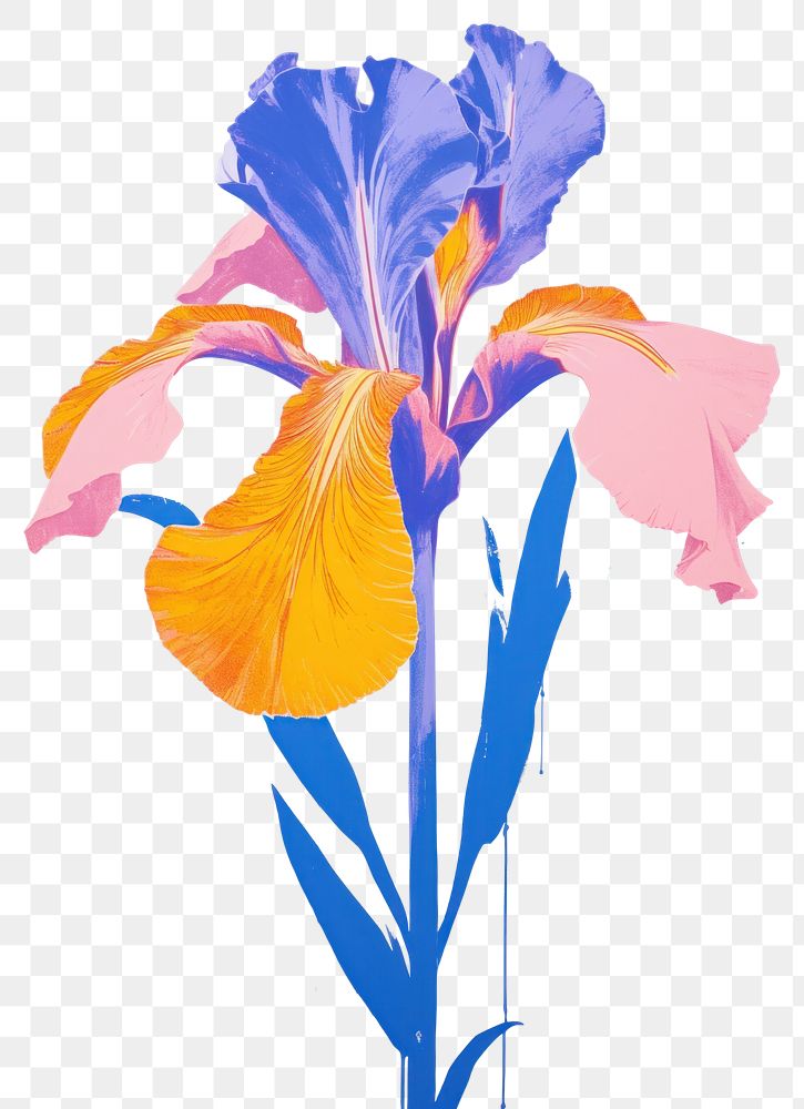 Blue Iris Flower Images | Free Photos, PNG Stickers, Wallpapers ...