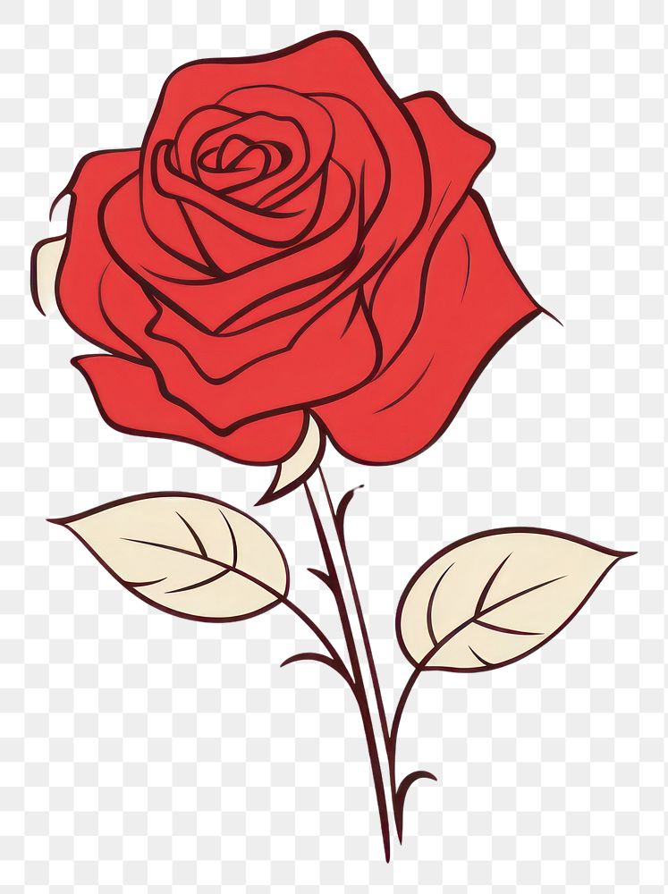 PNG Rose drawing flower sketch. | Free PNG - rawpixel