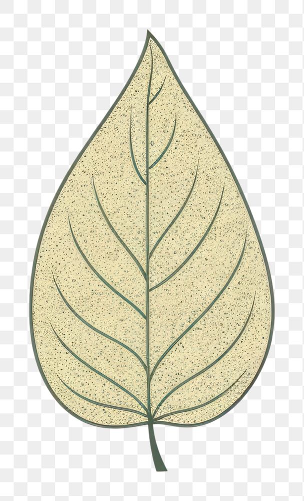 PNG Nature plant leaf pattern. | Free Icons - rawpixel