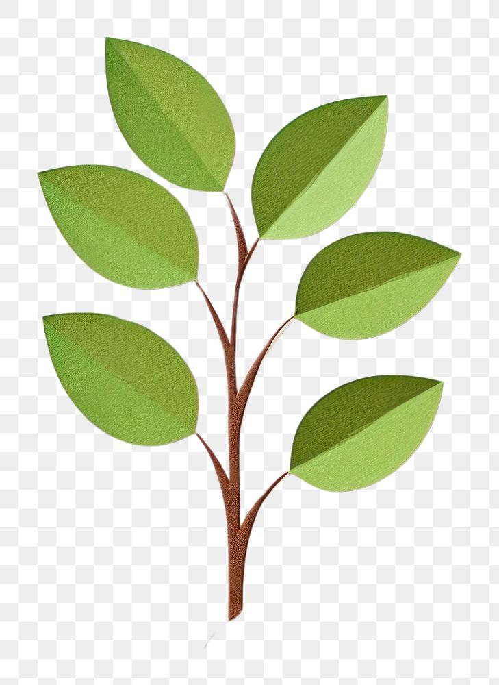 PNG Young plant soil leaf | Premium PNG - rawpixel