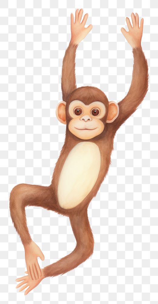 PNG monkey wildlife mammal animal. | Free PNG Illustration - rawpixel