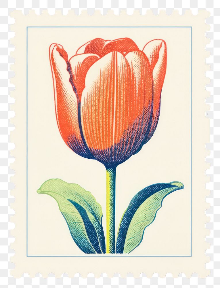 PNG Tulip Risograph style flower | Premium PNG - rawpixel