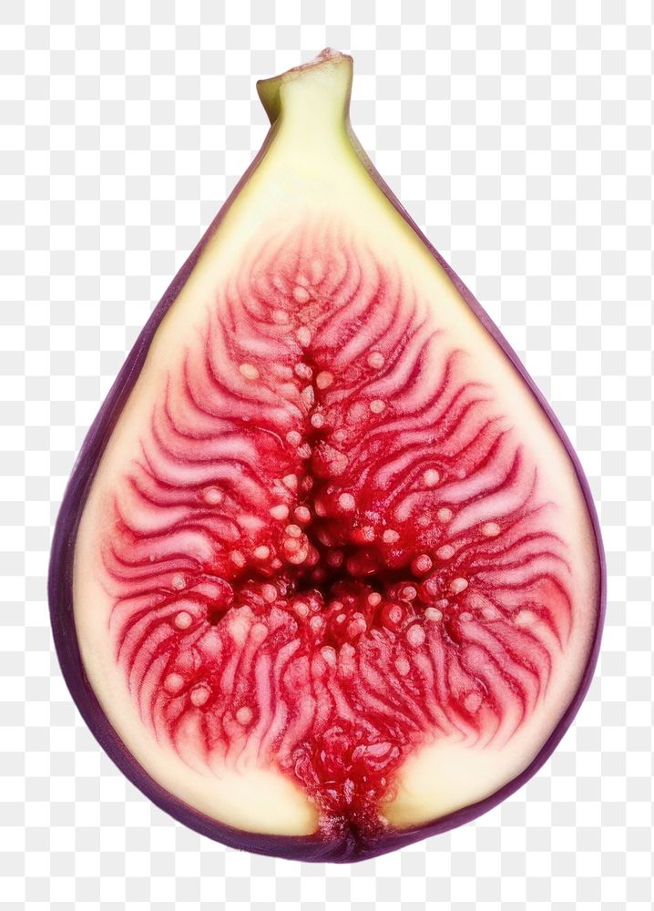 PNG Whole fig half cut | Premium PNG - rawpixel
