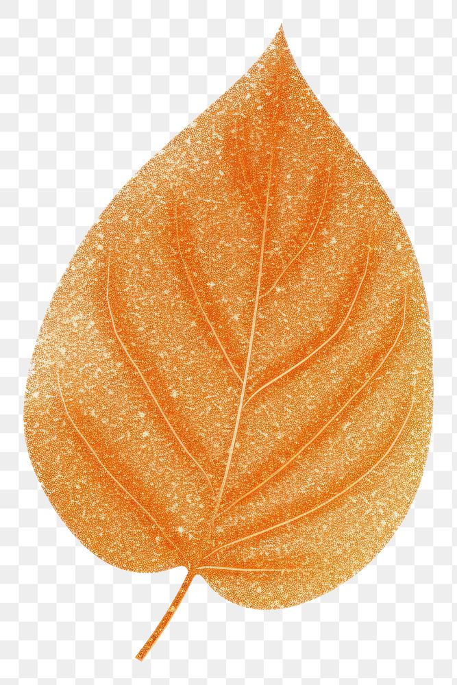 PNG Orange leaf icon nature | Premium PNG - rawpixel