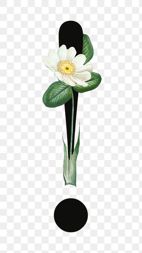 Floral exclamation mark png digital | Free PNG - rawpixel
