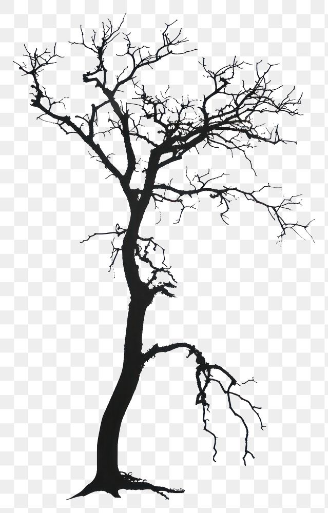 PNG Dead tree silhouette clip | Premium PNG - rawpixel