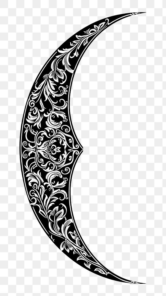 PNG Half circle shape art | Premium PNG - rawpixel