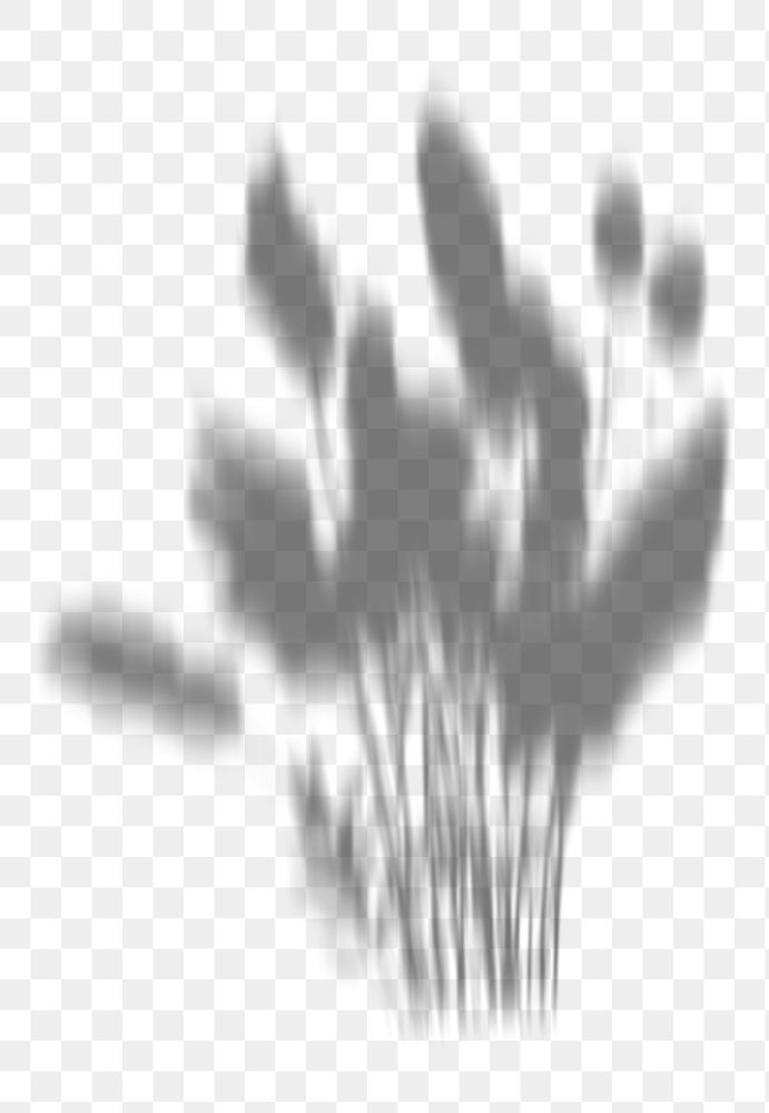 Flower shadow png element effect, | Free PNG - rawpixel