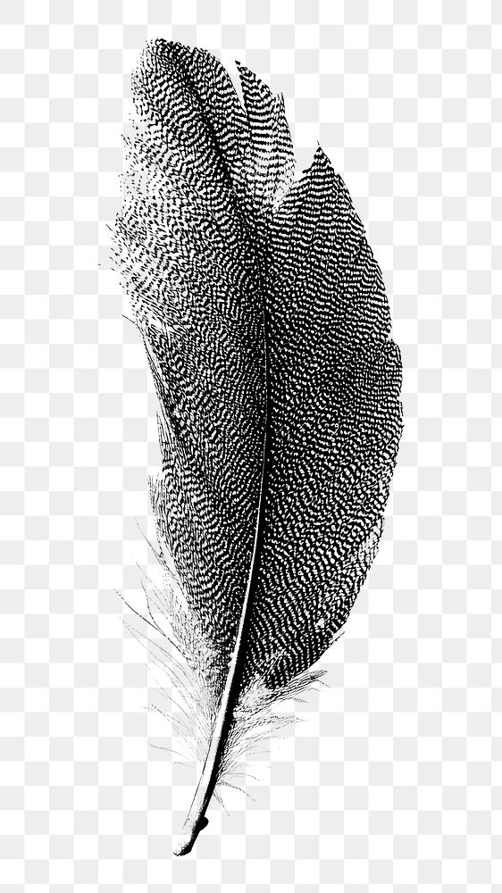 PNG Feather retro photocopy stipple | Free PNG - rawpixel
