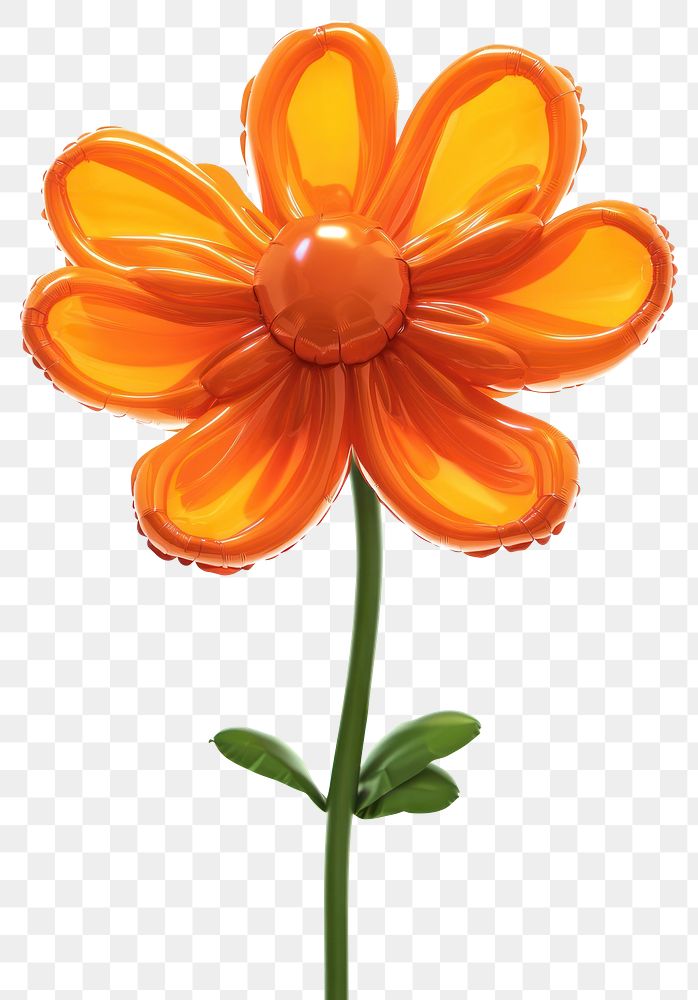 PNG Marigold petals balloon flower. | Free PNG - rawpixel