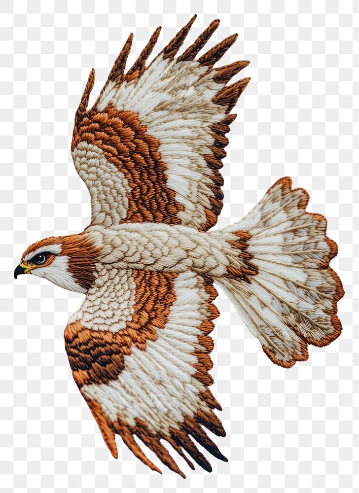 PNG hawk embroidery style fabric | Free PNG - rawpixel