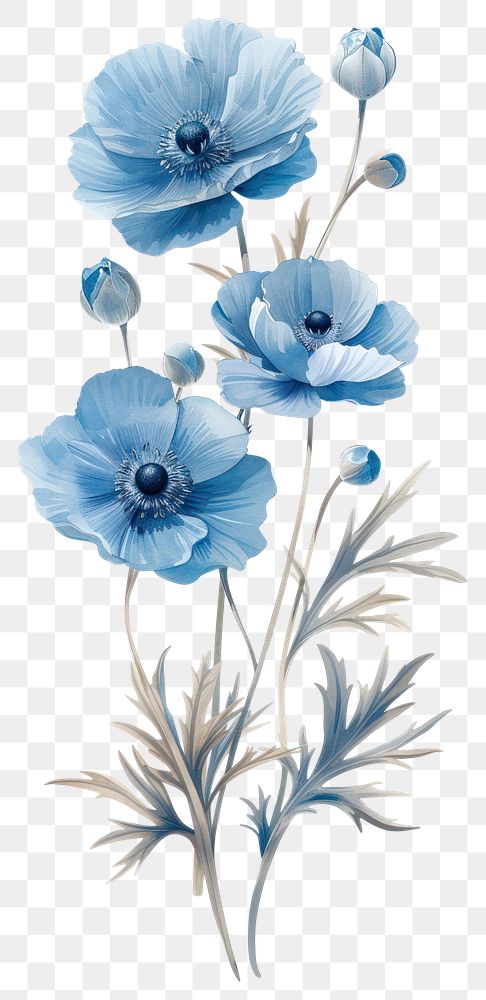 PNG Blue tones flower flowers | Free PNG - rawpixel