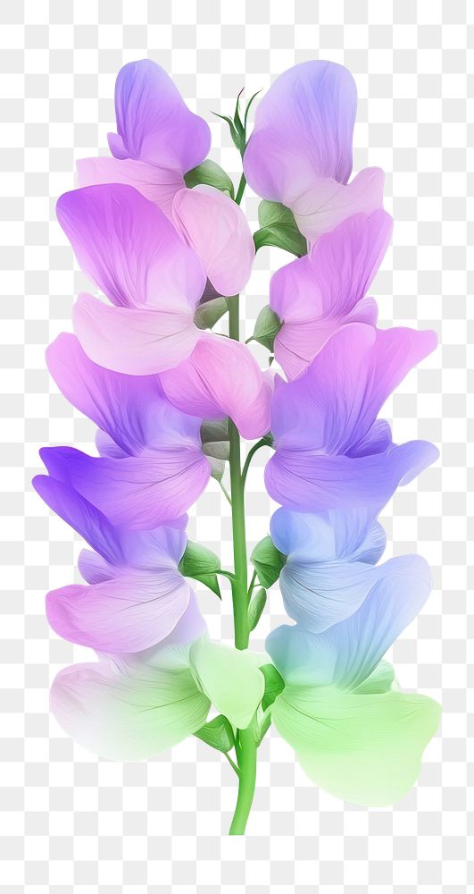 PNG Aconitum flower illustration vibrant | Free PNG - rawpixel