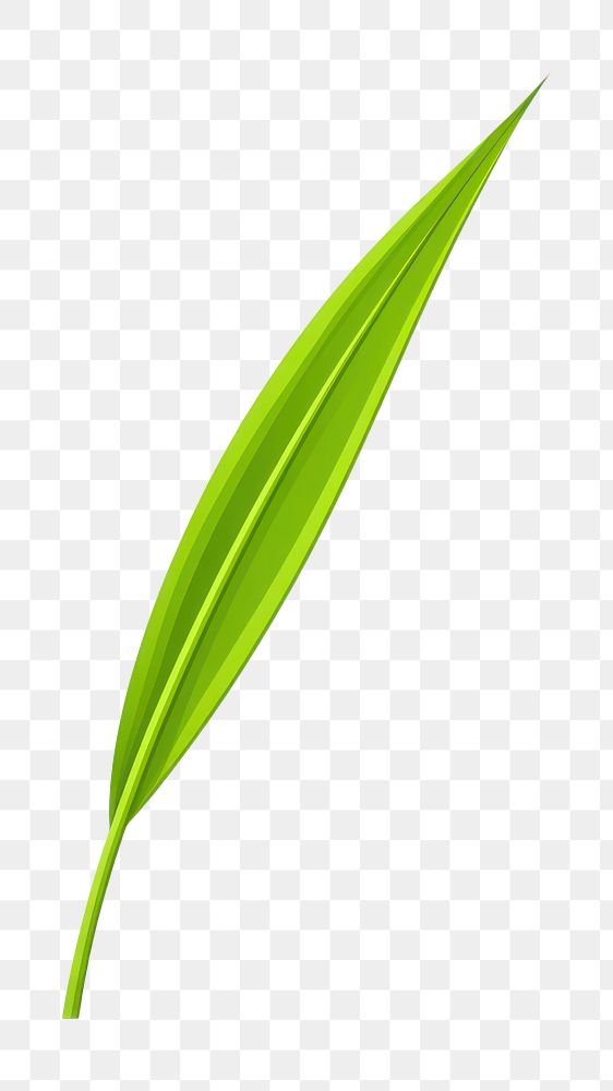 PNG Green reed leaf illustration | Free PNG - rawpixel