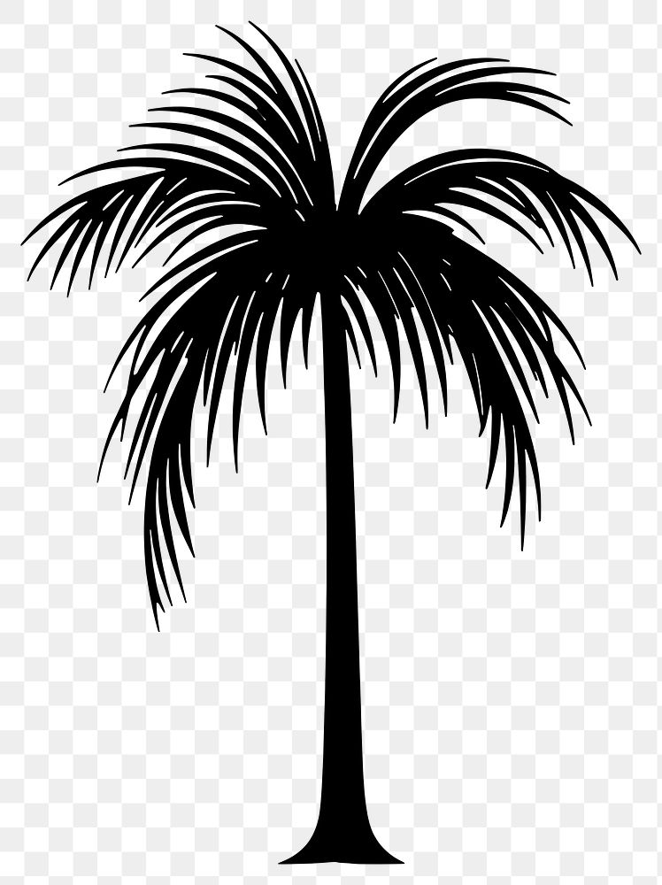 Palm Trees Background Shadow Images | Free Photos, PNG Stickers ...