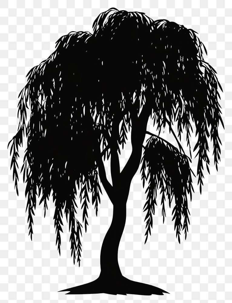PNG Weeping willow tree silhouette | Free PNG - rawpixel PNG Weeping willow tree silhouette | Free PNG - rawpixel