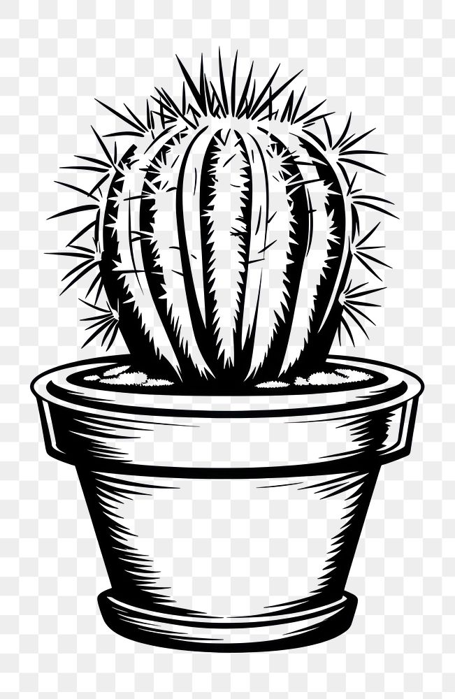 Powder Images | Free Photos, PNG Stickers, Wallpapers & Backgrounds ...