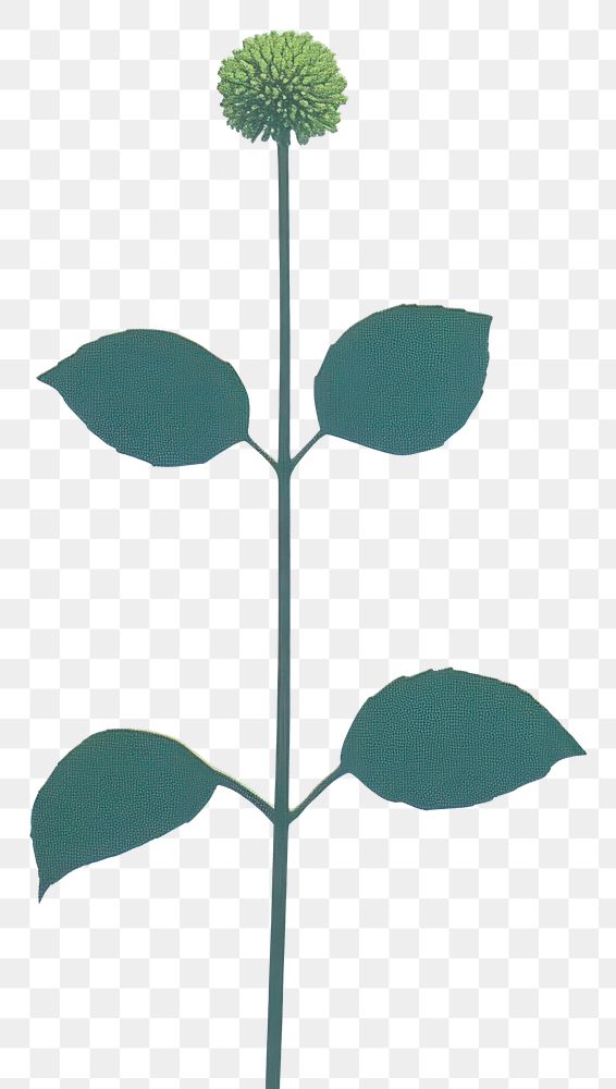 PNG Green flower plant illustration | Free PNG - rawpixel