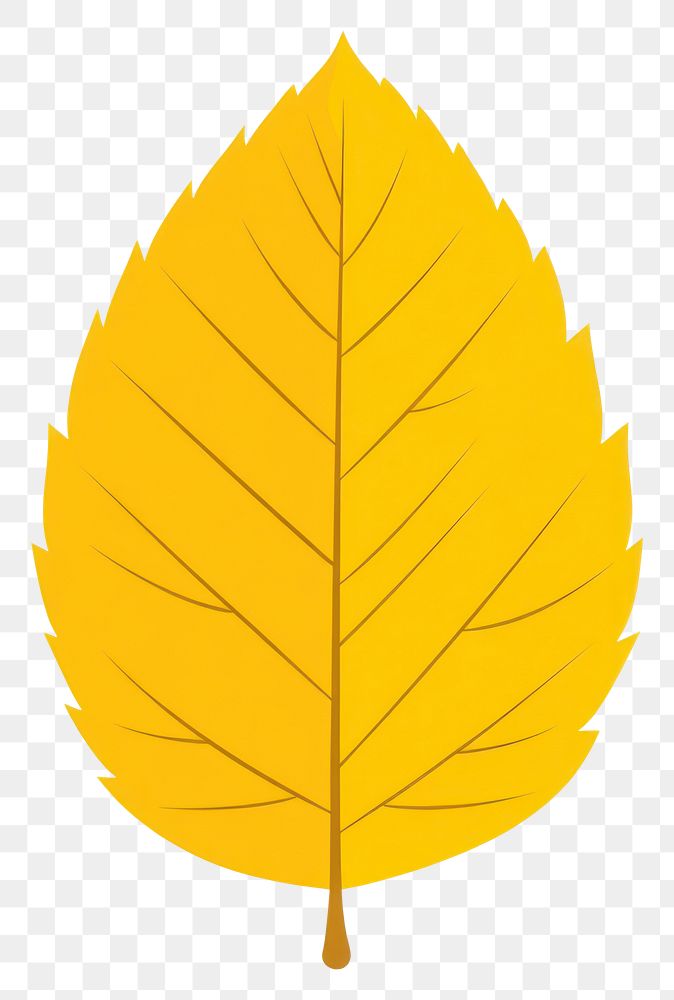 PNG Yellow reniform leaf illustration | Free PNG - rawpixel
