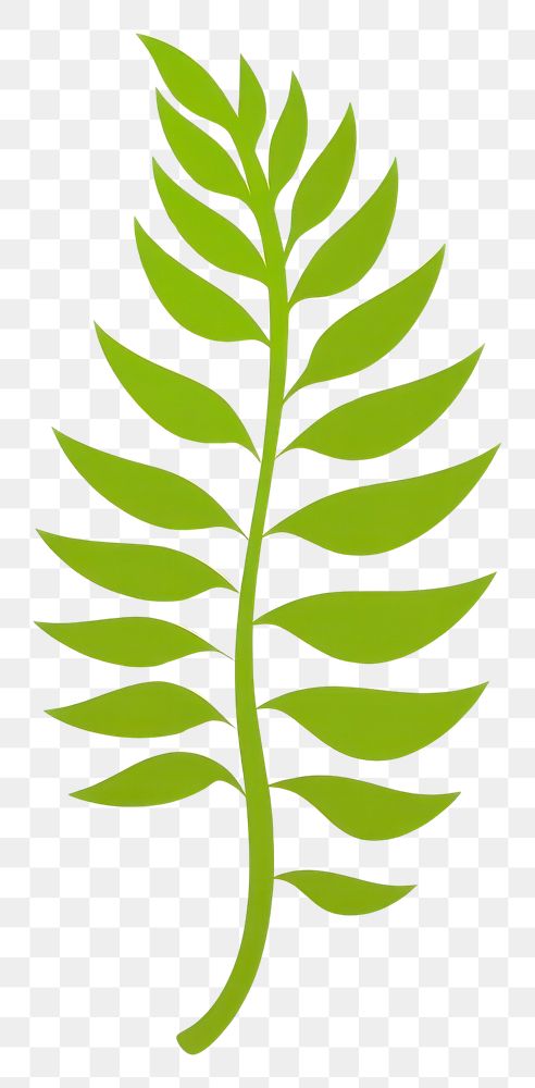 PNG Green curved fern leaf | Free PNG - rawpixel