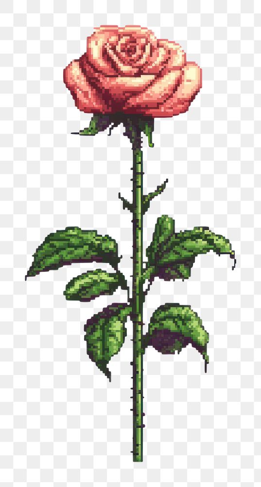 PNG Rose illustration flower design. | Free PNG - rawpixel