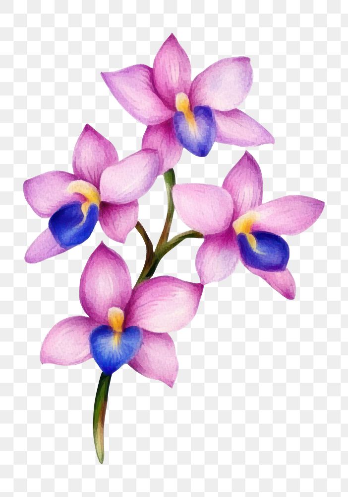 PNG Orchid flower icon orchids | Free PNG - rawpixel