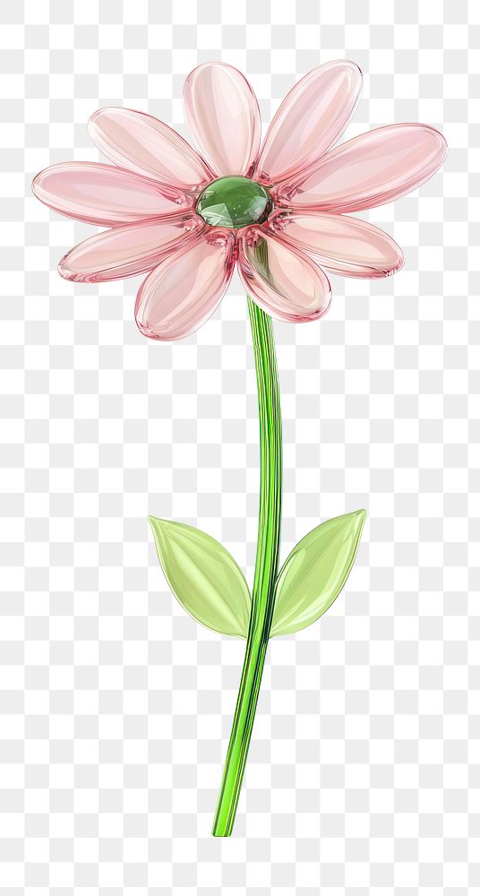 PNG Pink daisy flower transparent | Free PNG - rawpixel