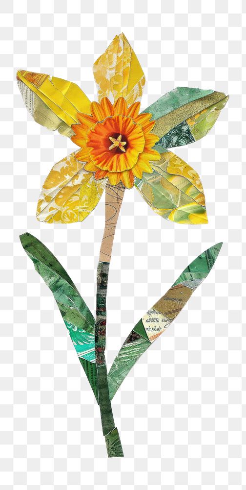 PNG Daffodil collage paper cut | Free PNG - rawpixel