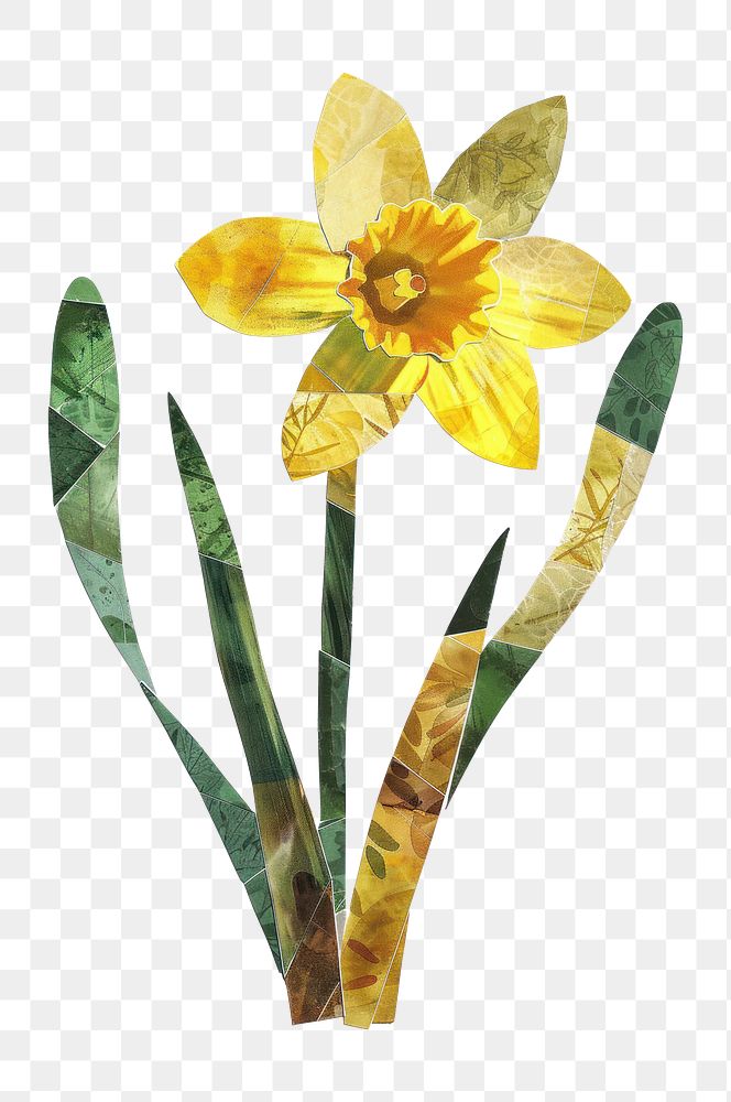 PNG Daffodil collage paper cut | Free PNG - rawpixel