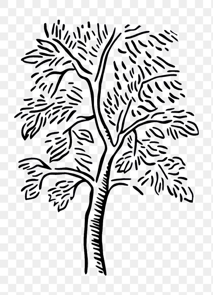 PNG Autumn tree drawing art | Free PNG - rawpixel