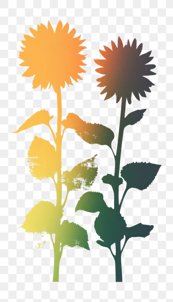 PNG Sunflowers patterns silhouettes illustration | Free PNG - rawpixel