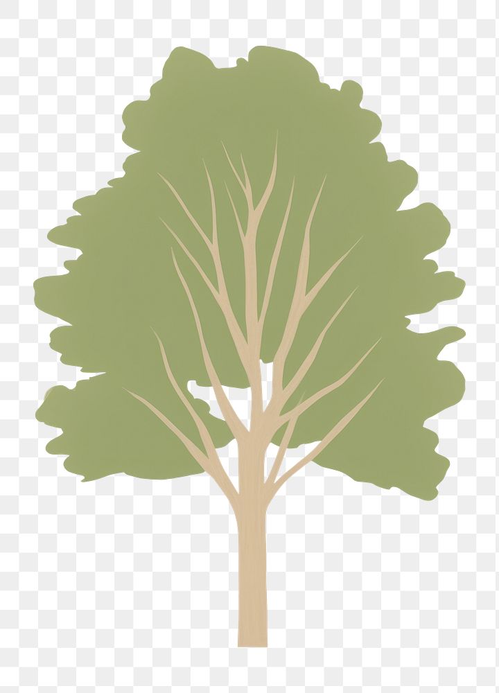 PNG Tall oak tree illustration | Free PNG - rawpixel