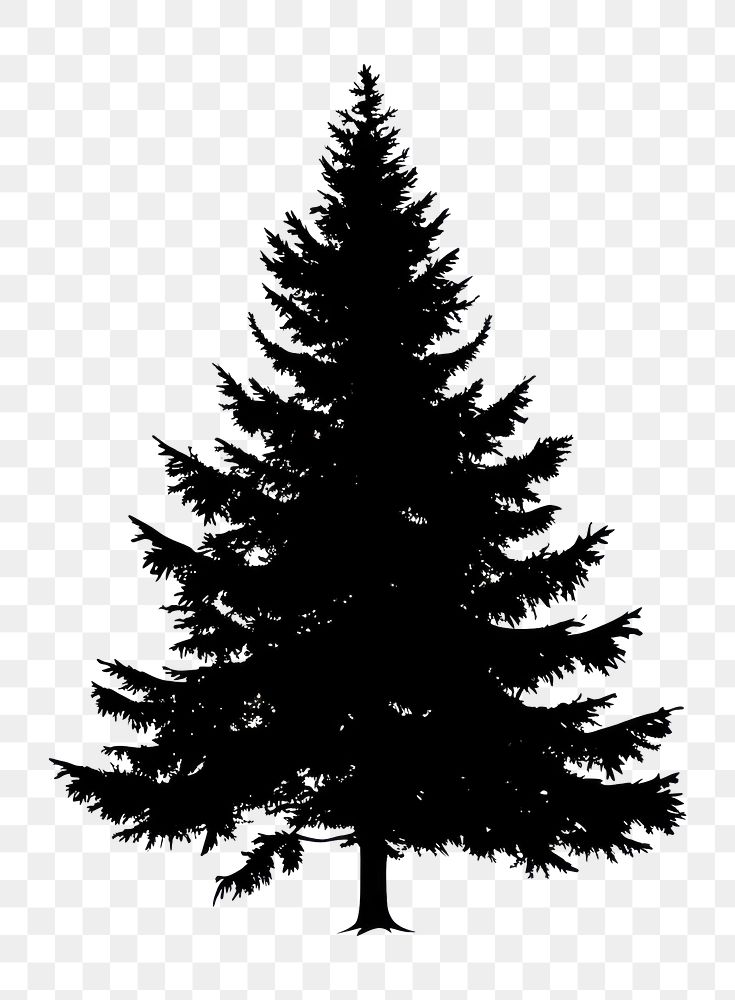 PNG Evergreen tree silhouette illustration | Free PNG - rawpixel