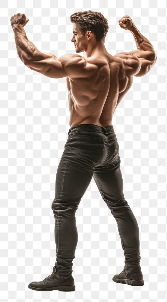 PNG Male muscular back bodybuilding | Free PNG - rawpixel