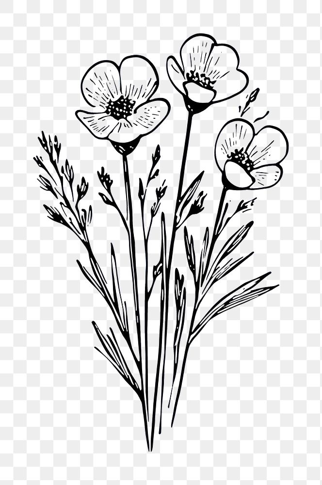 Botanical Black And White Sketches Floral Design Images | Free Photos ...