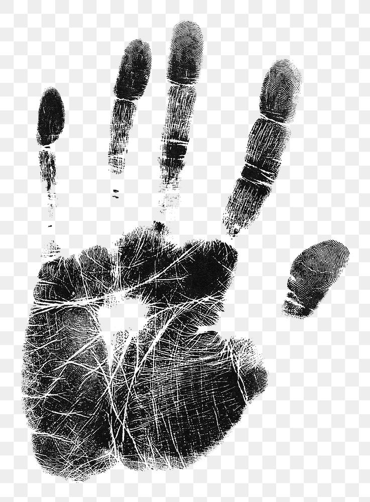 Photo+left Paper Texture Images | Free Photos, PNG Stickers, Wallpapers ...