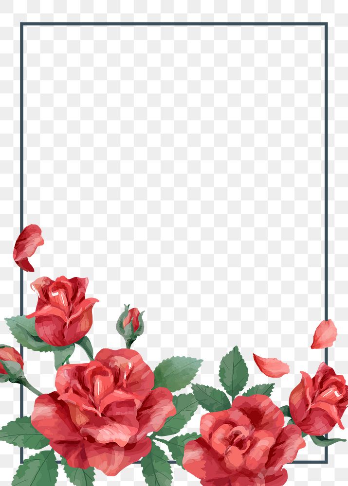 Red rose png frame, transparent | Premium PNG - rawpixel