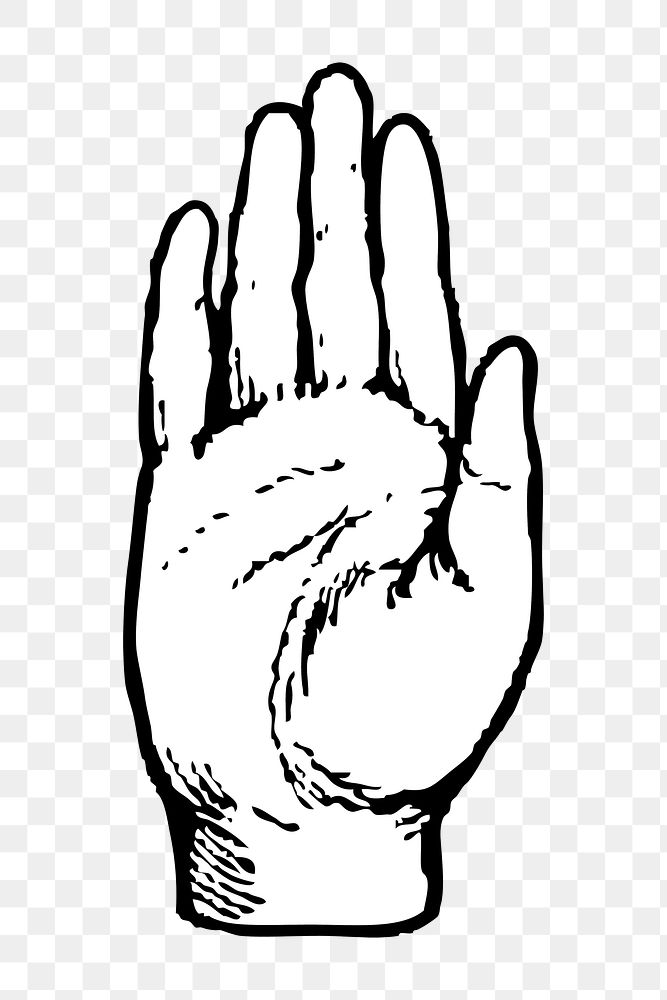 Hand palm png illustration, transparent | Free PNG - rawpixel