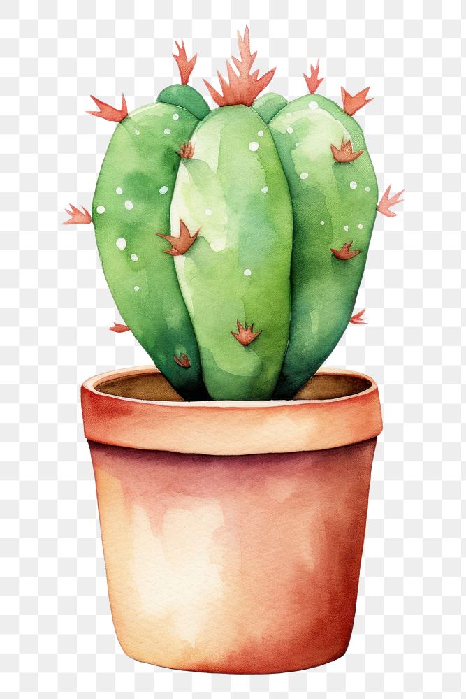 PNG Cactus drawing plant white | Premium PNG - rawpixel