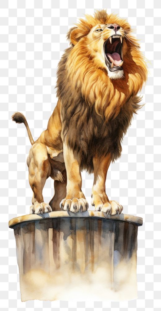 PNG Roaring mammal animal lion. | Free PNG - rawpixel