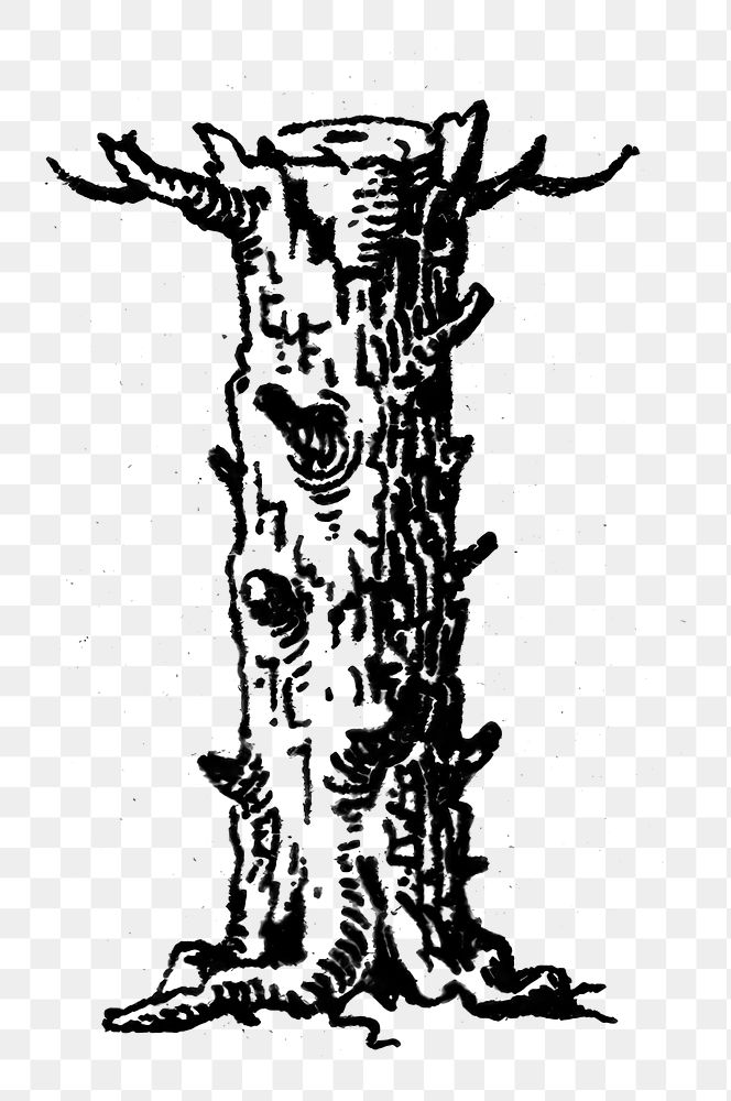 Black And White Tree Texture Images | Free Photos, PNG Stickers ...