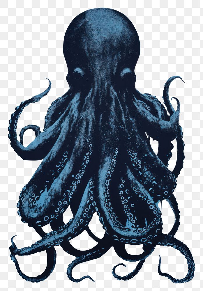 PNG Octopus animal blue invertebrate. | Premium PNG - rawpixel