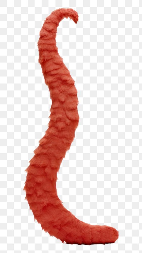 PNG Devil tail red white | Free PNG - rawpixel