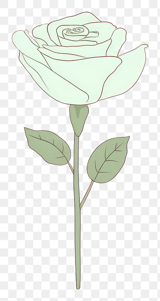 PNG Pink rose cartoon drawing | Free PNG - rawpixel